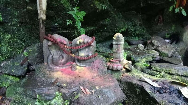 Kathmandu: Shivapuri National Park Day Hike - Practical Details and Value