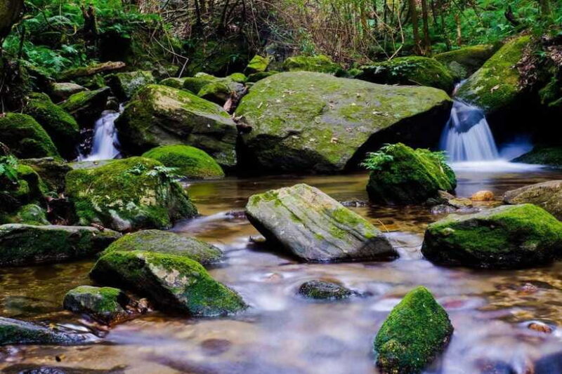 Kathmandu: Shivapuri National Park Day Hike with Lunch box - The Sum Up: Is it worth it?