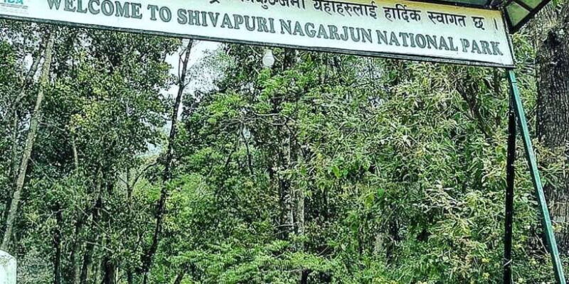 Kathmandu: Shivapuri National park Day Hiking - The Experience: Transportation, Guides, and Cost