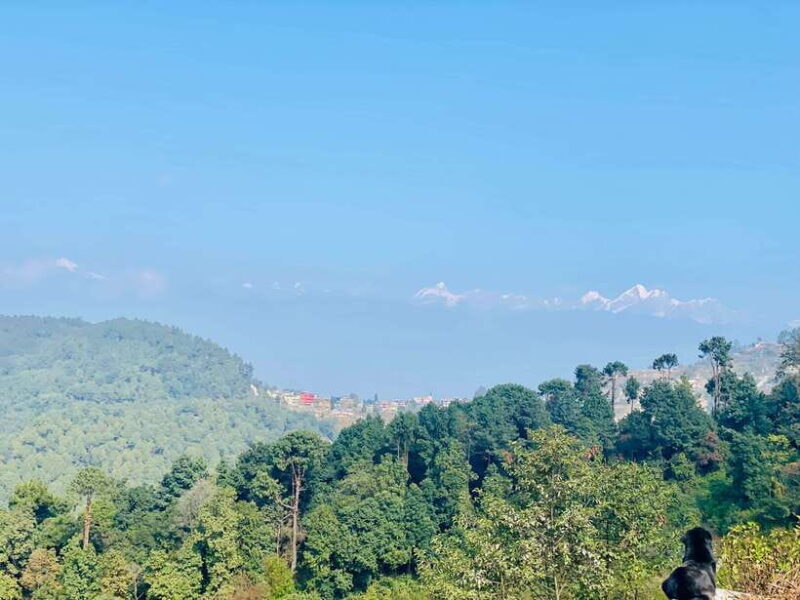 Kathmandu to Nagarkot Hike: Village Trails & Himalayan Views - Final Thoughts: Who Will Love This Tour?