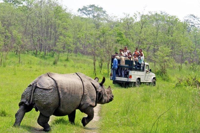 Kathmandu,Chitwan,Pokhara with Dhampus Sarangkot Trek - Final Thoughts