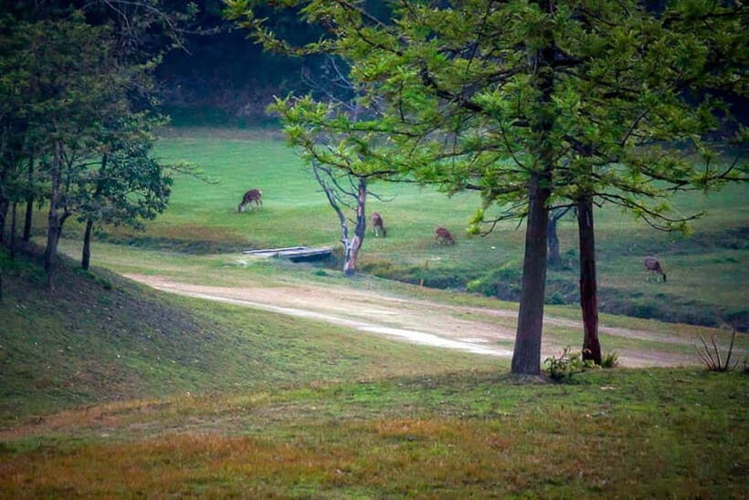 Kathmandu's 18-Hole Gem: Hike & Play the Himalayan Golf - FAQ