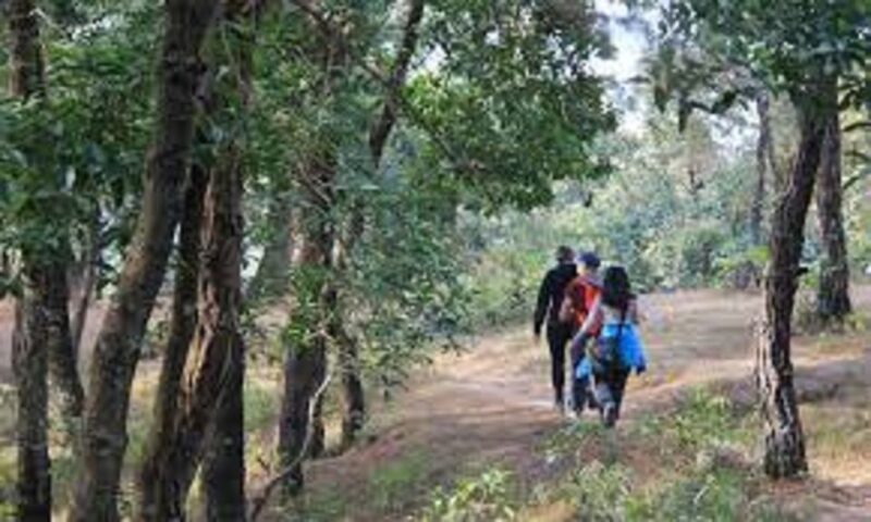 Kathmandus Canvas of Bliss: Nagarkot Sunrise & Hiking Trip - FAQ