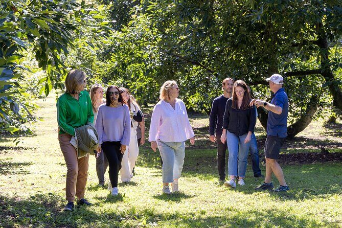 Katikati Gourmet Avocado Tasting - What to Expect on the Tour