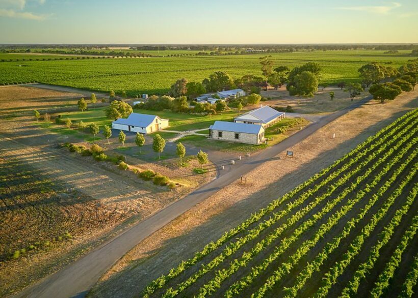 Katnook Estate: Icon Wine Tasting and Regional Platter for 2 - The Sum Up: Is This Experience Worth It?