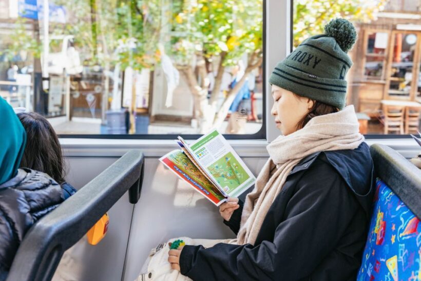 Katoomba: Lyrebird Hop-On Hop-Off and Scenic World Pass - The Sum Up: Is This Experience Worth It?