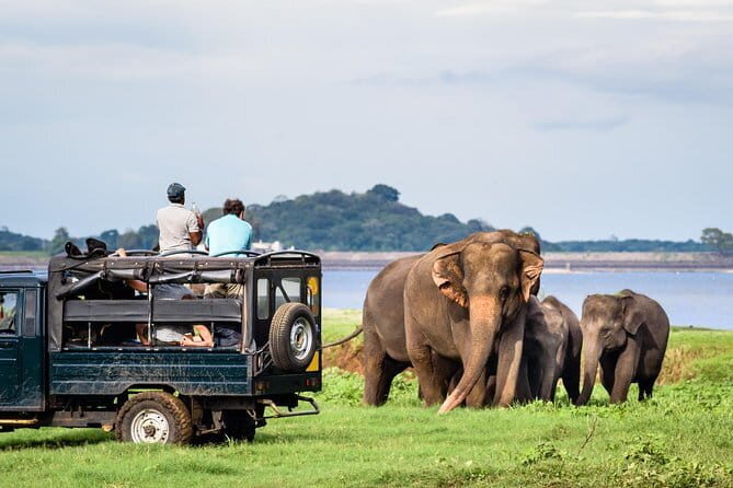 Katunayaka Airport to Kandy and Nuwaraeliya 2 Days - Who Should Book This Tour?