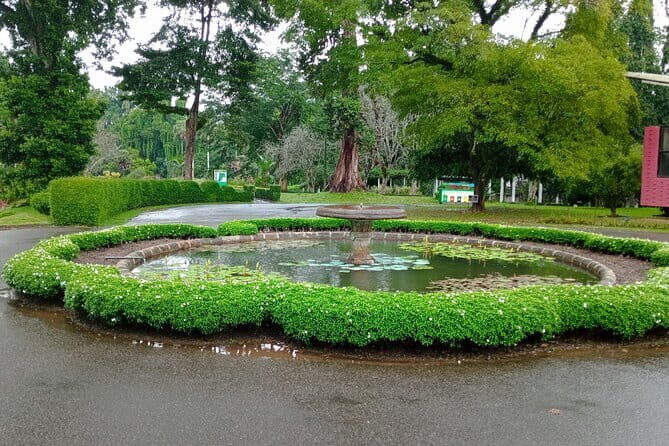 Katunayaka Airport to Kandy and Nuwaraeliya 2 Days - The Sum Up