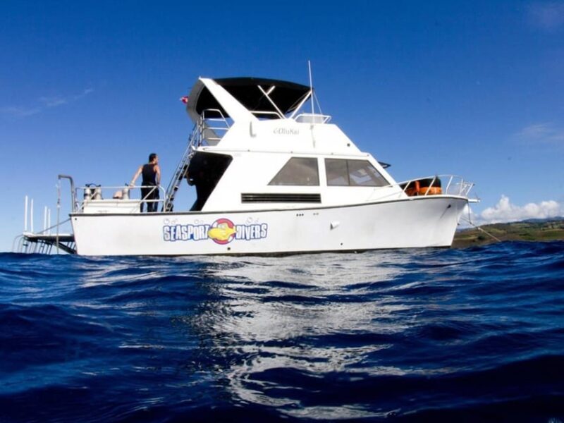 Kauai: 2 Tank Afternoon Dive - Practical Tips for Travelers