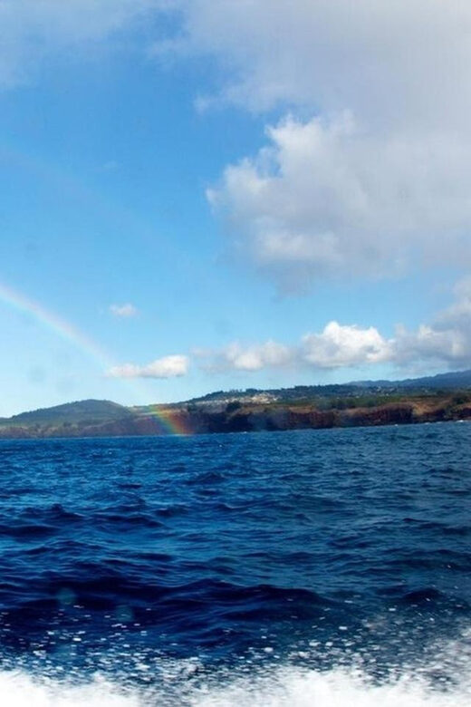 Kauai: 3-Tank Boat Dive for Certified Divers - Introduction: A Unique Dive Experience Awaits