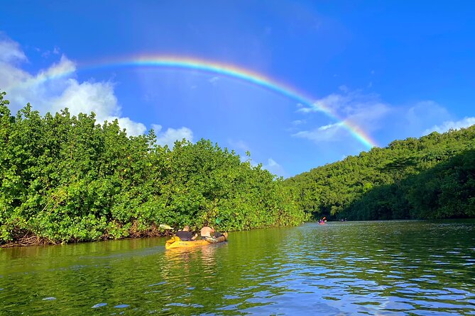 Kauai Adventure: Kayak & Hike to Secret Falls with Expert Guide - Frequently Asked Questions