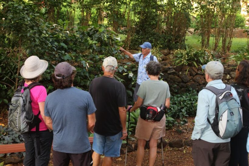 Kauai: Allerton Garden and Estate Tour with Sunset Dinner - An In-Depth Look at the Tour Experience