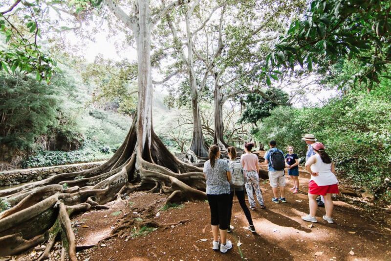 Kauai: Allerton Garden and Estate Tour with Sunset Dinner - Authentic Feedback from Travelers