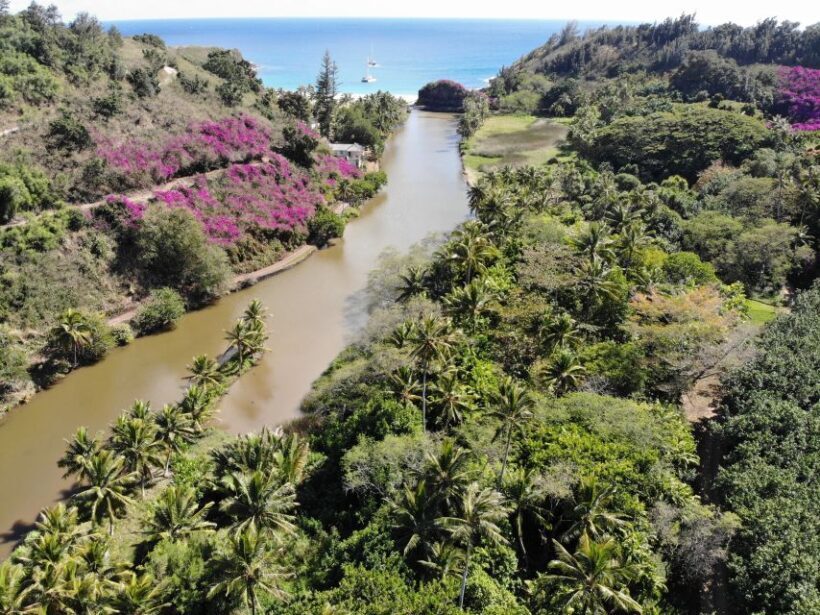 Kauai: Allerton Garden Guided Group Walking Tour - Discovering Allerton Garden: A Visual Feast