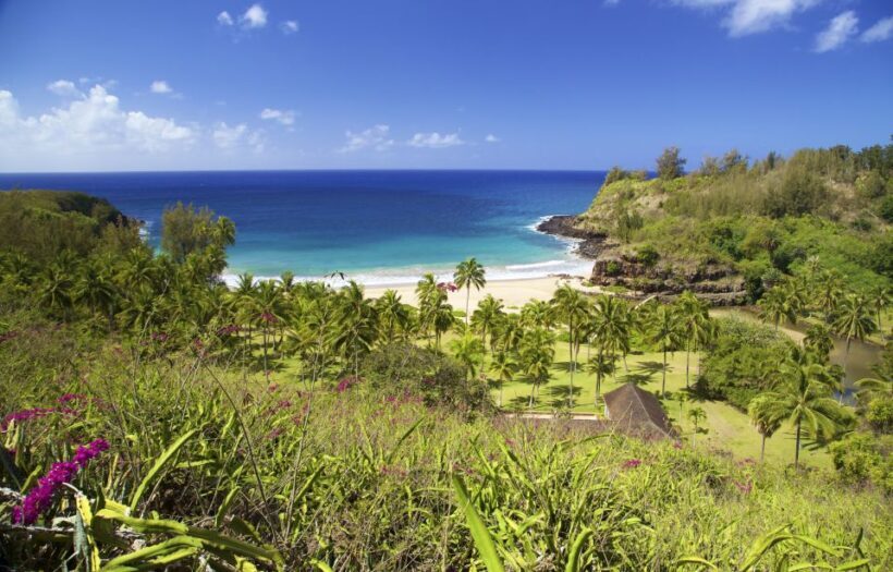 Kauai: Allerton Garden Guided Group Walking Tour - The Cultural and Cinematic Connection