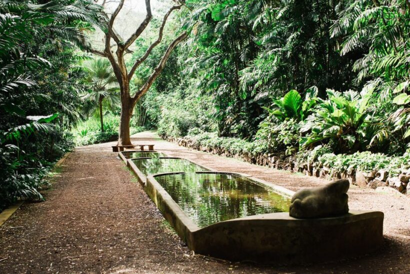 Kauai: Allerton Garden Guided Group Walking Tour - The Sum Up: A Must-Do for Garden and Nature Lovers