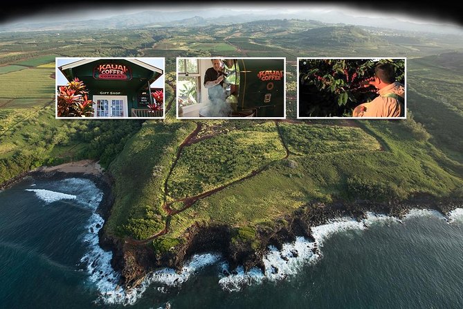 Kauai Canyon Explorer - Private Tour Featuring Waimea & Kokee - Cancellation and Booking Information