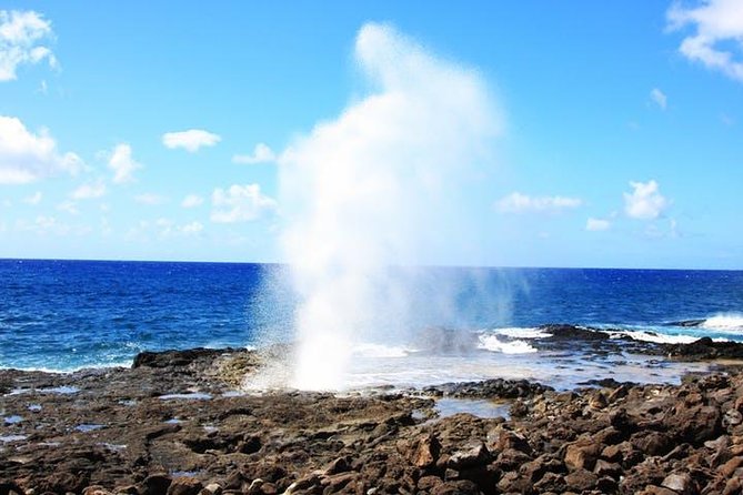 Kauai Cruise Ship Shore Excursion Journey to Waimea Canyon - Important Information for Travelers