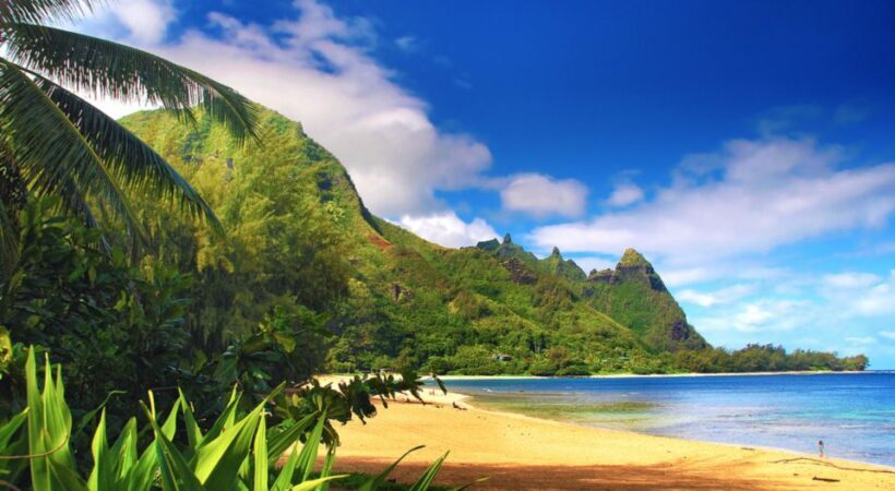 Kauai: Customized Luxury Private Tour - Exploring Kauai in Style: What to Expect