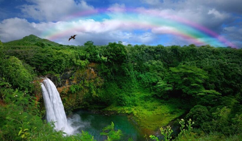 Kauai: Customized Luxury Private Tour - The Value Proposition: Is It Worth the Price?