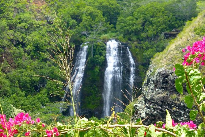 Kauai Eastside & Waterfalls-Shared Small Group Tour - Why Travelers Love This Tour