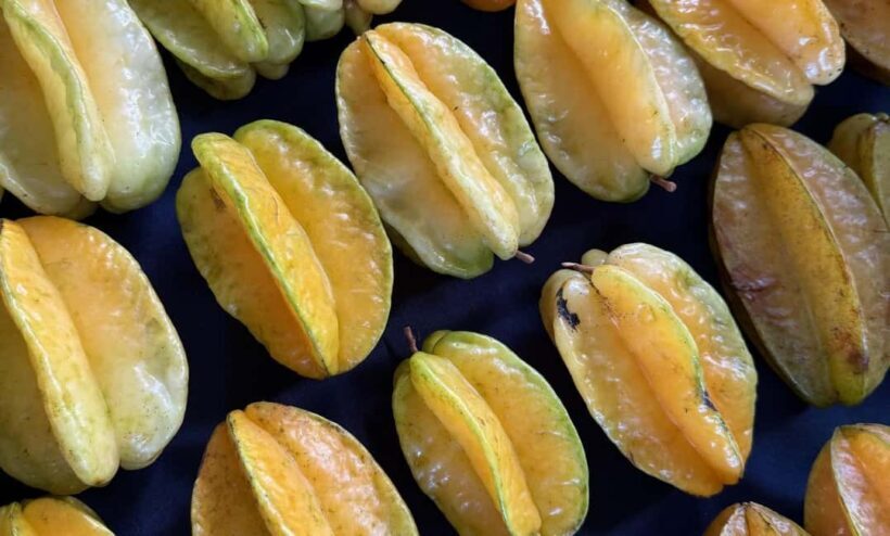 Kauai: Farmers Market Tasting Tour - An In-Depth Look at the Kauai Farmers Market Tasting Tour