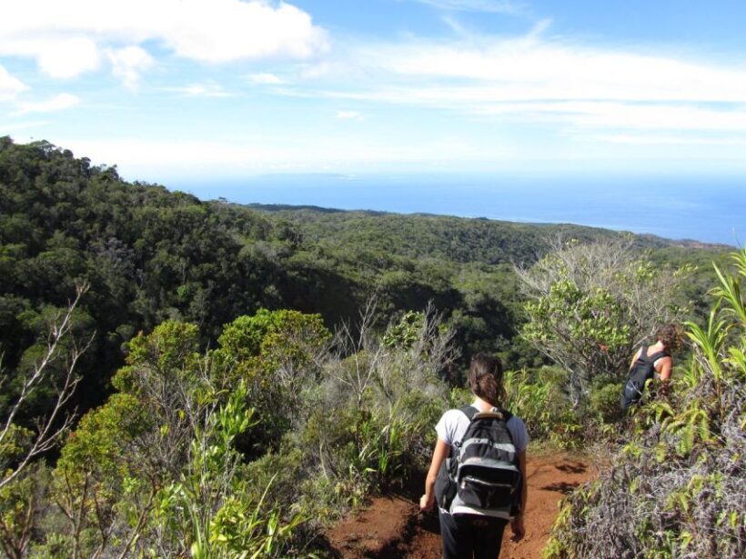 Kauai: Full-Day Kauai Adventure - Itinerary Breakdown