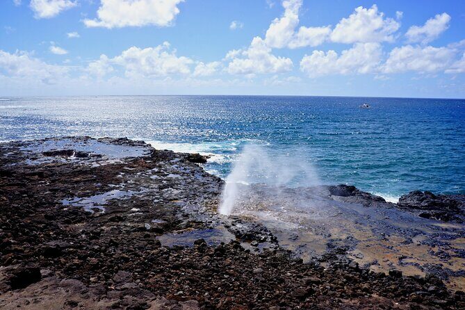 Kauai Full Day Tour with Cruise ships or Kauai Airport Pickup - Who is This Tour Best Suited for?