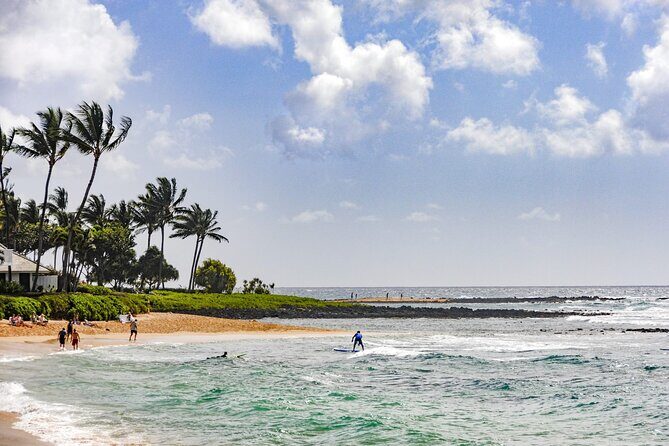 Kauai Full Day Tour with Cruise ships or Kauai Airport Pickup - Final Thoughts