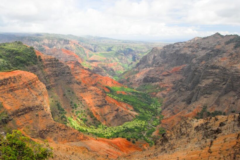 Kauai: Full-Day Waimea Canyon & Wailua River Tour - The Sum Up