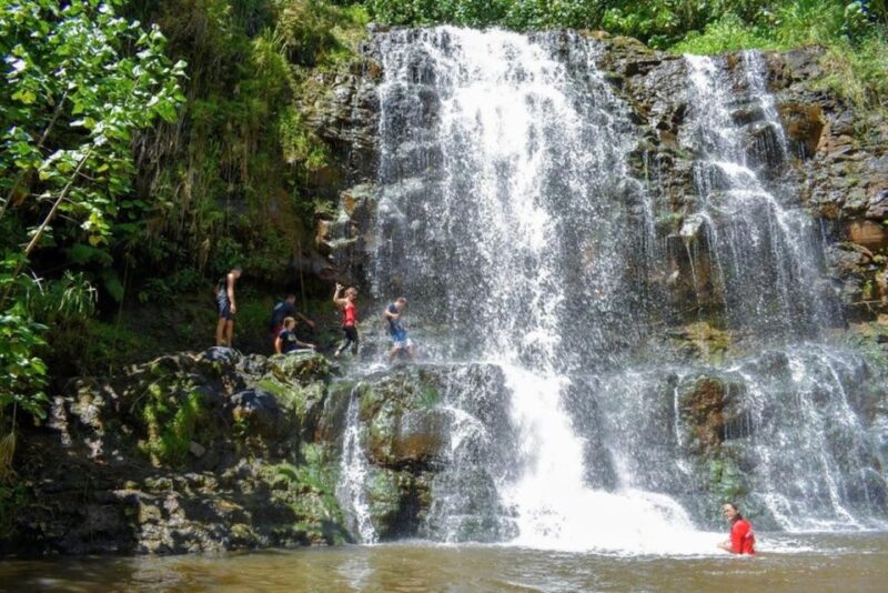 Kauai: Guided Hike and Waterfall Swim - Key Points