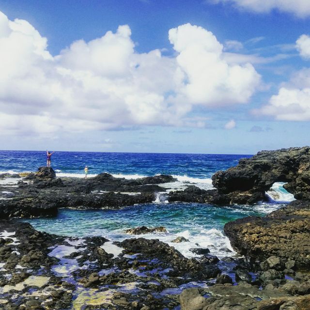 Kauai: Half-Day Kauai Adventure - Exploring the Kauai: Half-Day Kauai Adventure - A Guide for Nature Enthusiasts