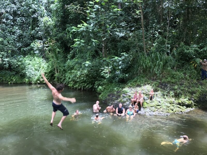 Kauai: Half-Day Kauai Adventure - Who Should Consider This Tour