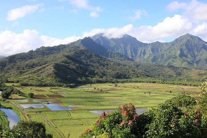 Kauai: Hawaii Movie Tour - Accessibility Considerations