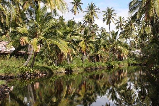 Kauai: Hawaii Movie Tour - Tips for Moviegoers