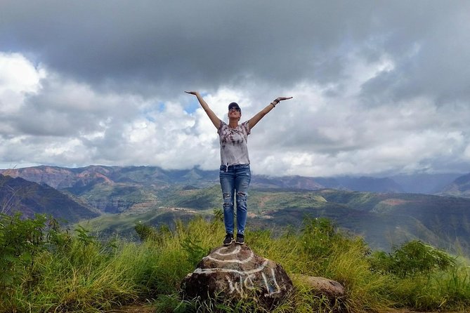 Kauai Highlights Small-Group Tour: A Taste of the South and West - Charming Hanapepe Town