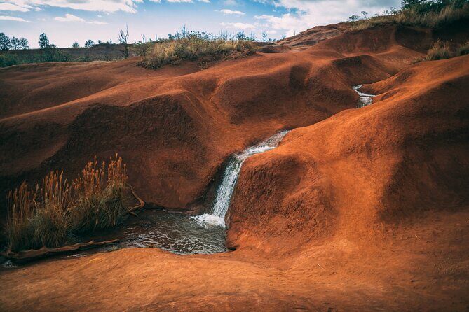 Kauai Island Private Guided Tour-Waimea Canyon from Lihue/Kapaa - Pricing and Value Analysis