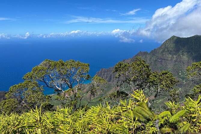 Kauai Island Private Guided Tour-Waimea Canyon from Poipu/Koloa - Why This Tour is Perfect for You