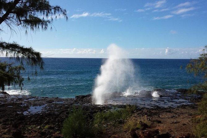 Kauai Island - Private Tour : Waimea Canyon and Southside - An In-Depth Look at the Kauai Private Tour