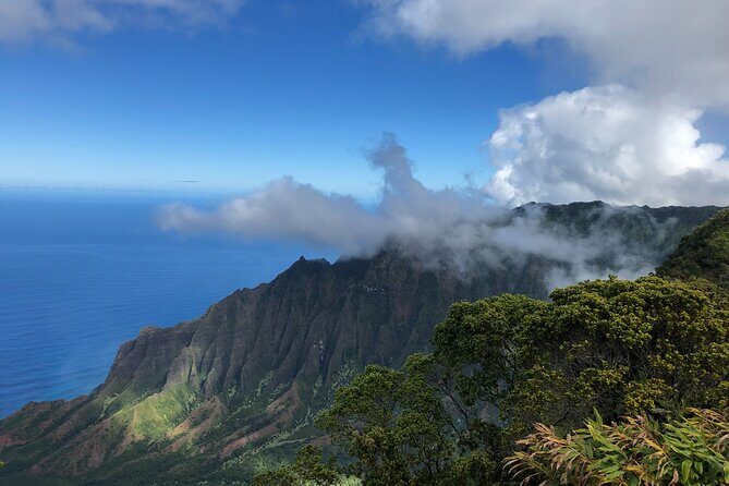 Kauai Island Tour : Journey to Waimea Canyon & More Highlights - Seamless Cruise Ship Coordination and Small-Group Comfort