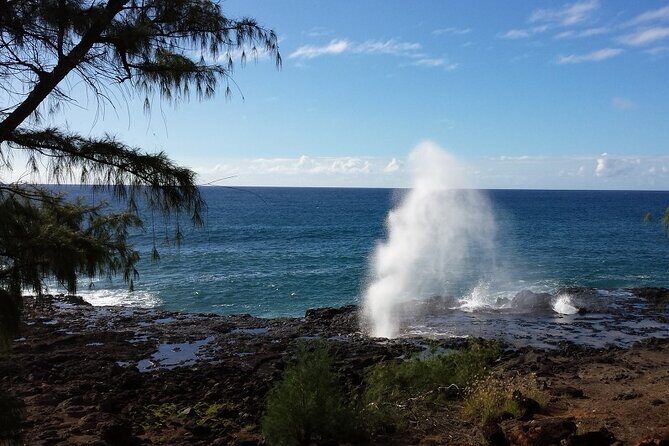 Kauai Island Tour : Journey to Waimea Canyon & More Highlights - Price and Value