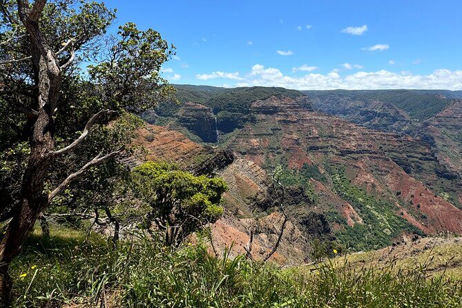 Kauai Island Tour : Journey to Waimea Canyon & More Highlights - Practical Details