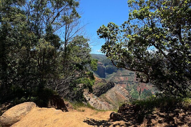 Kauai Island Tour : Journey to Waimea Canyon & More Highlights - Final Thoughts