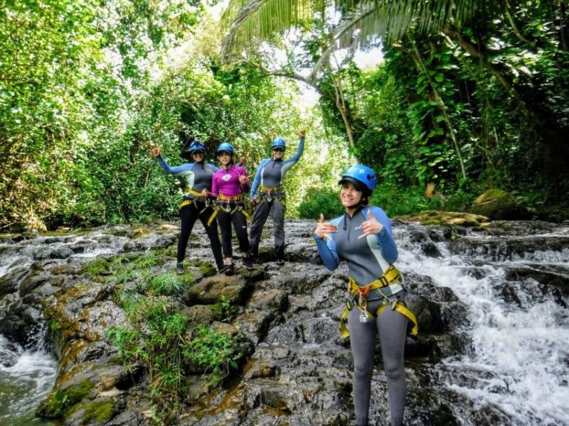 Kauai: Island Waterfall Adventure - Key Points