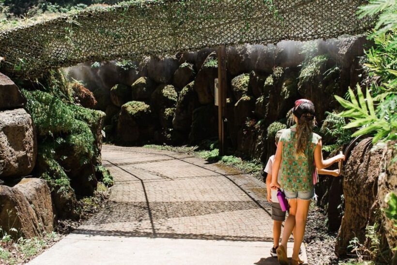 Kauai: McBryde Garden Self Guided Visit - Why This Tour Offers Genuine Value