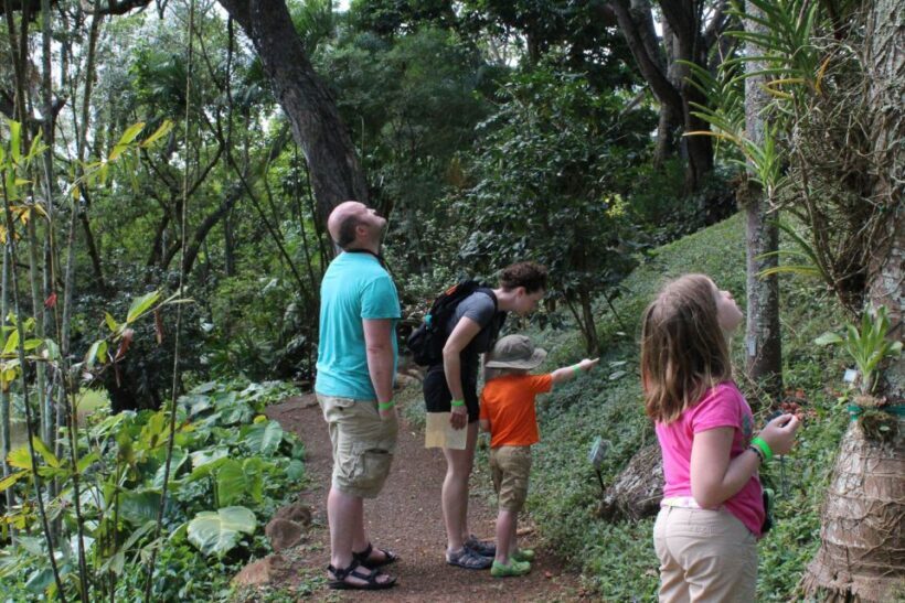 Kauai: McBryde Garden Self Guided Visit - The Sum Up