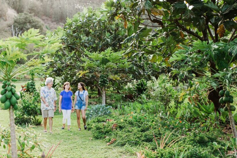 Kauai: McBryde Garden Self Guided Visit - FAQ