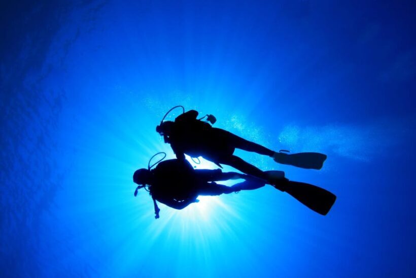 Kauai: Morning 2 Tank Boat Dive for Experienced Divers - Final Thoughts