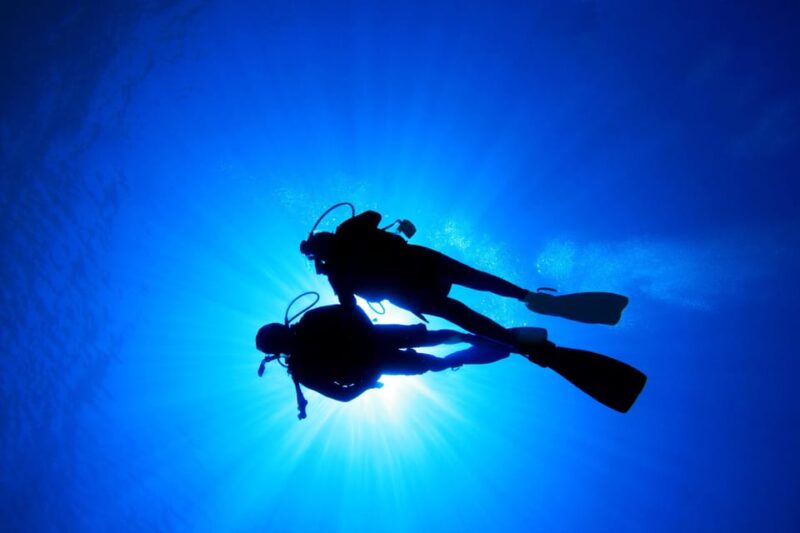 Kauai: Morning 2 Tank Boat Dive for Experienced Divers - What To Expect During the Tour