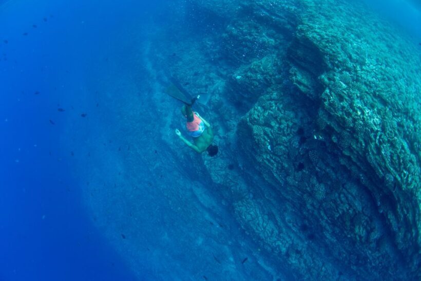Kauai: Niihau and Na Pali Coast Full-Day Boat Tour - Final Thoughts